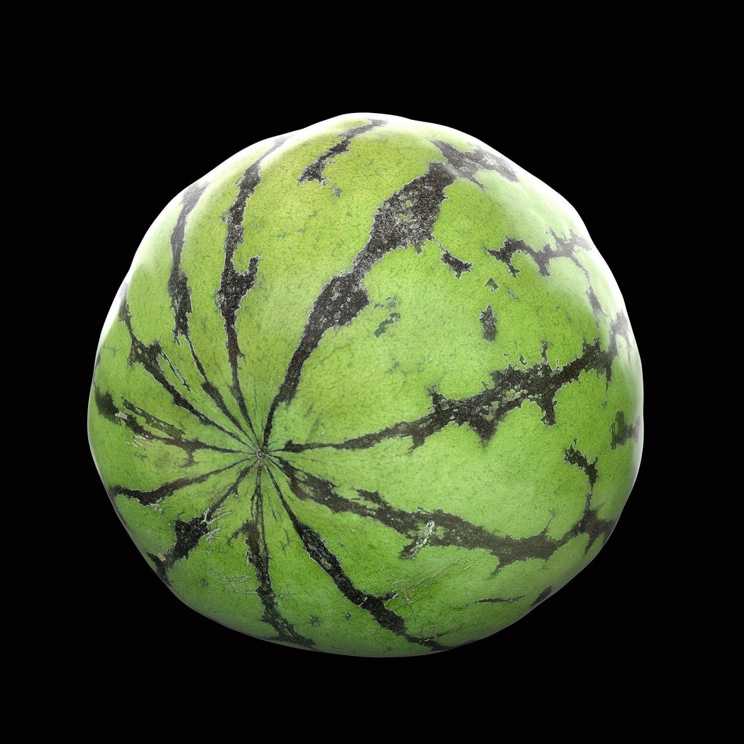 Watermelon melon model - TurboSquid 1627507