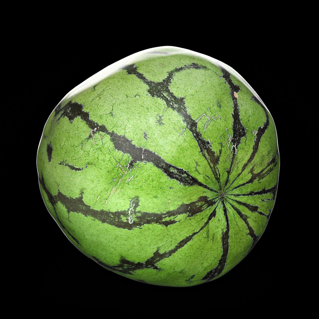 Watermelon melon model - TurboSquid 1627507