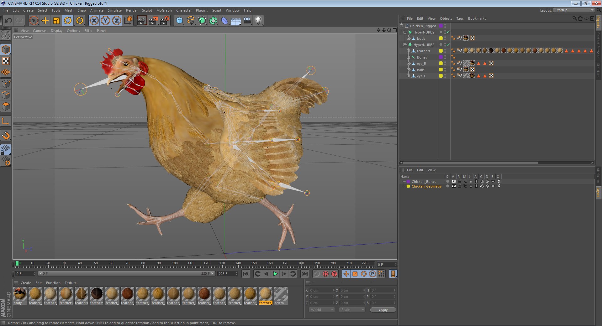3D model rigged chickens - TurboSquid 1514779