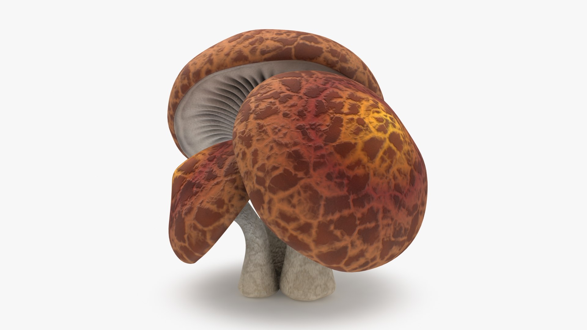 3d shiitake mushrooms