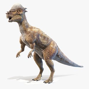 3D Pachycephalosaurus Models - Browse & Download Formats - TurboSquid