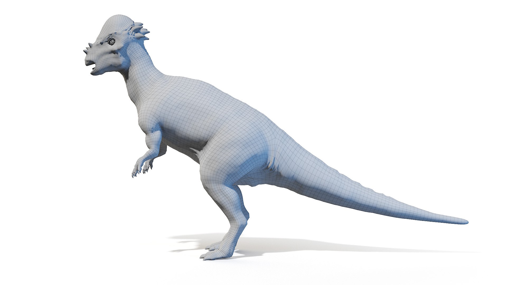 Pachycephalosaurus p model - TurboSquid 1597702