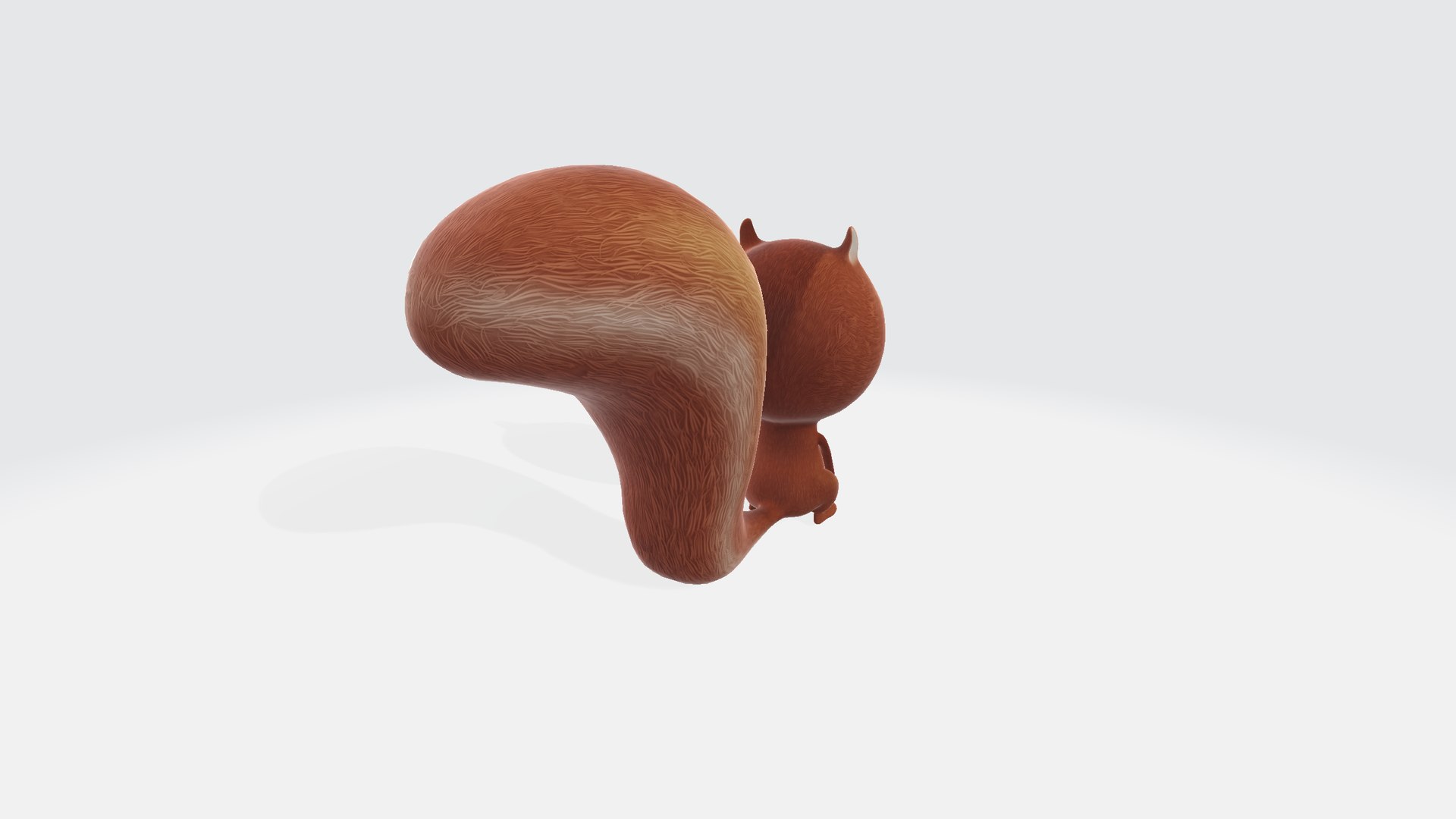 3D Squirrel Model - TurboSquid 2373325