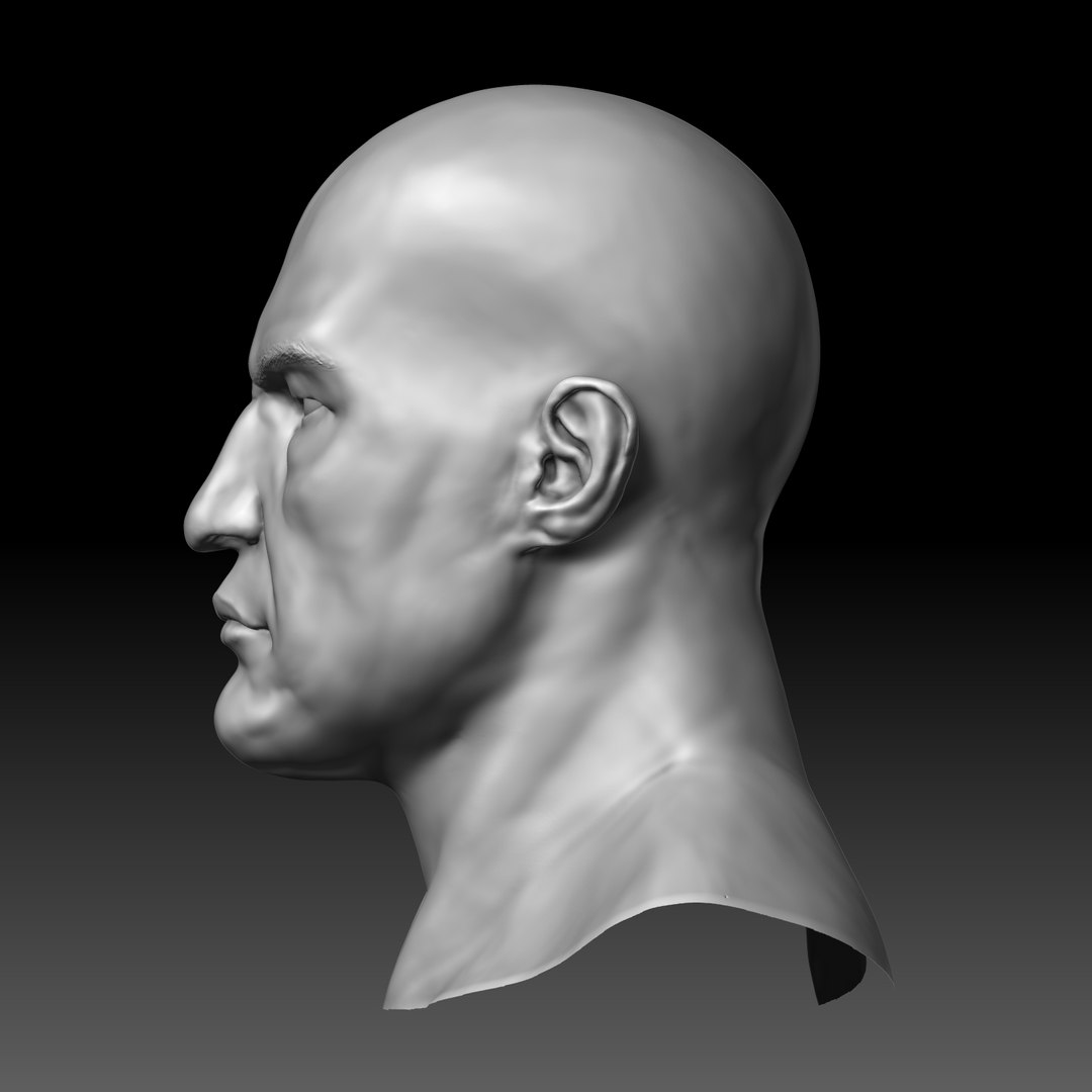 Male Head 3D Model - TurboSquid 1390414