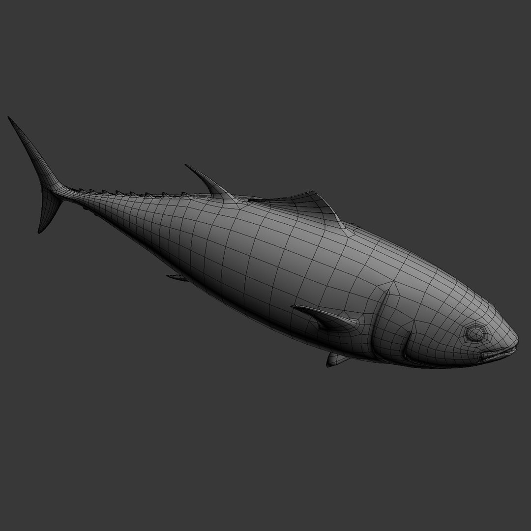 Dugm02 Giant Bluefin Tuna 3d Model