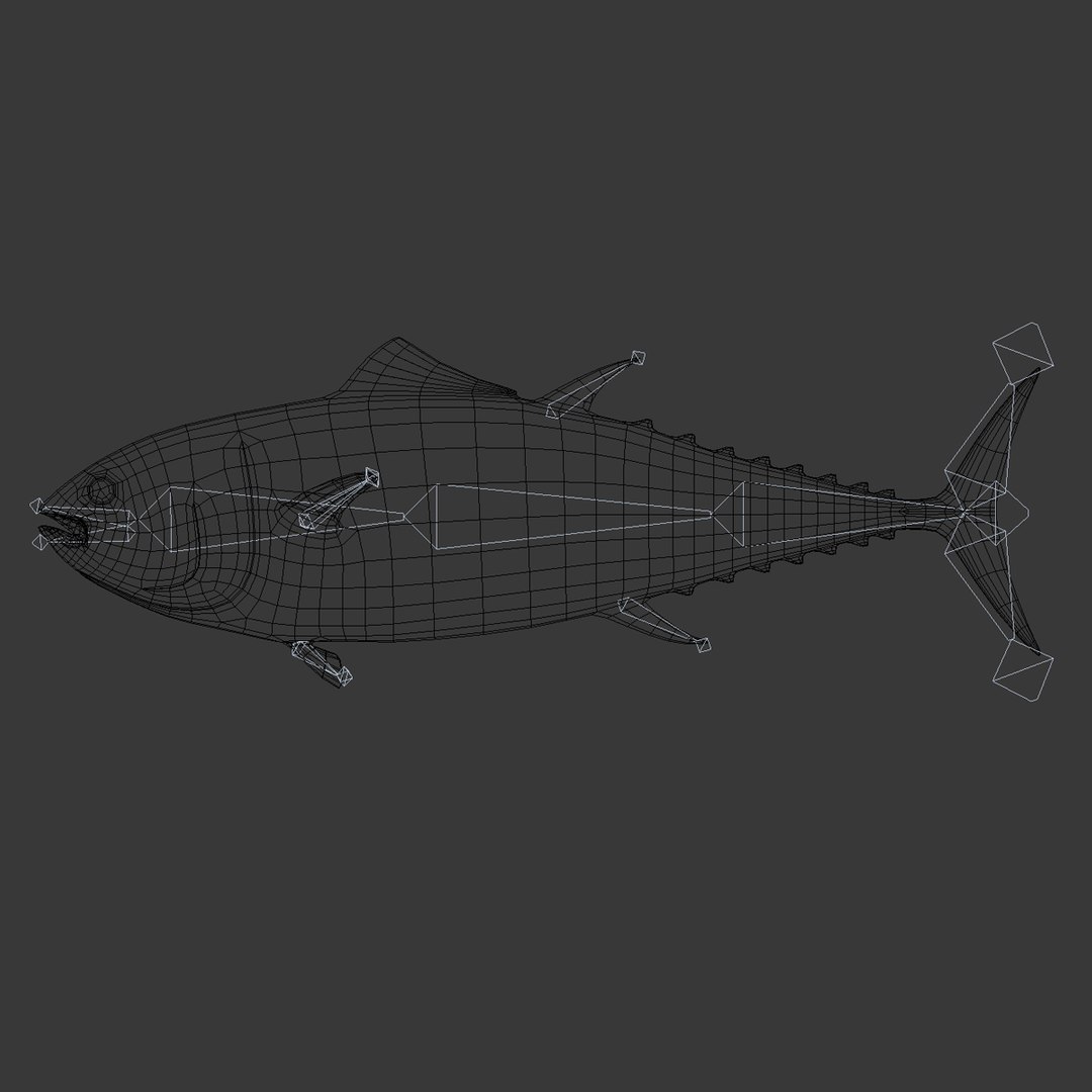 Dugm02 Giant Bluefin Tuna 3d Model