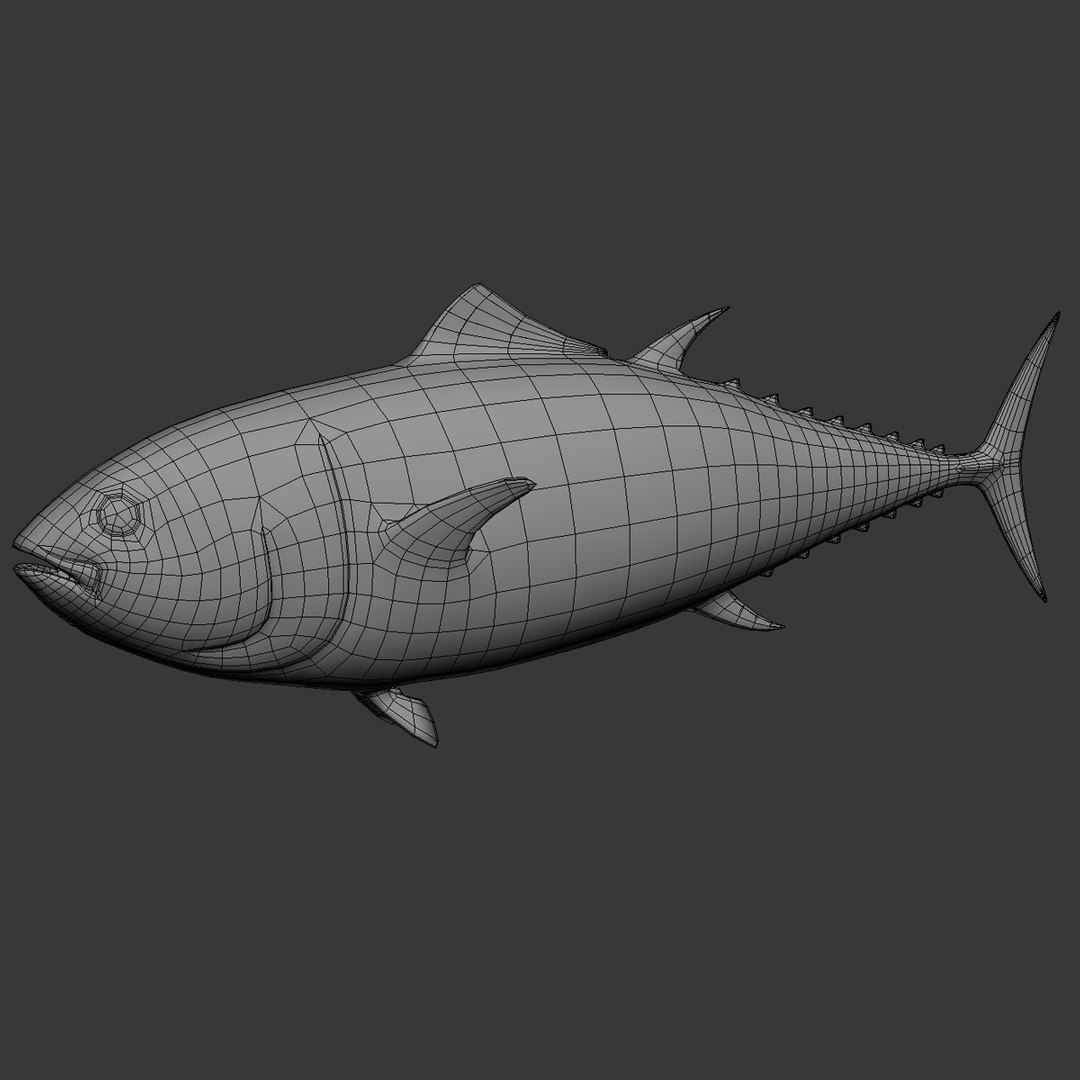 Dugm02 Giant Bluefin Tuna 3d Model