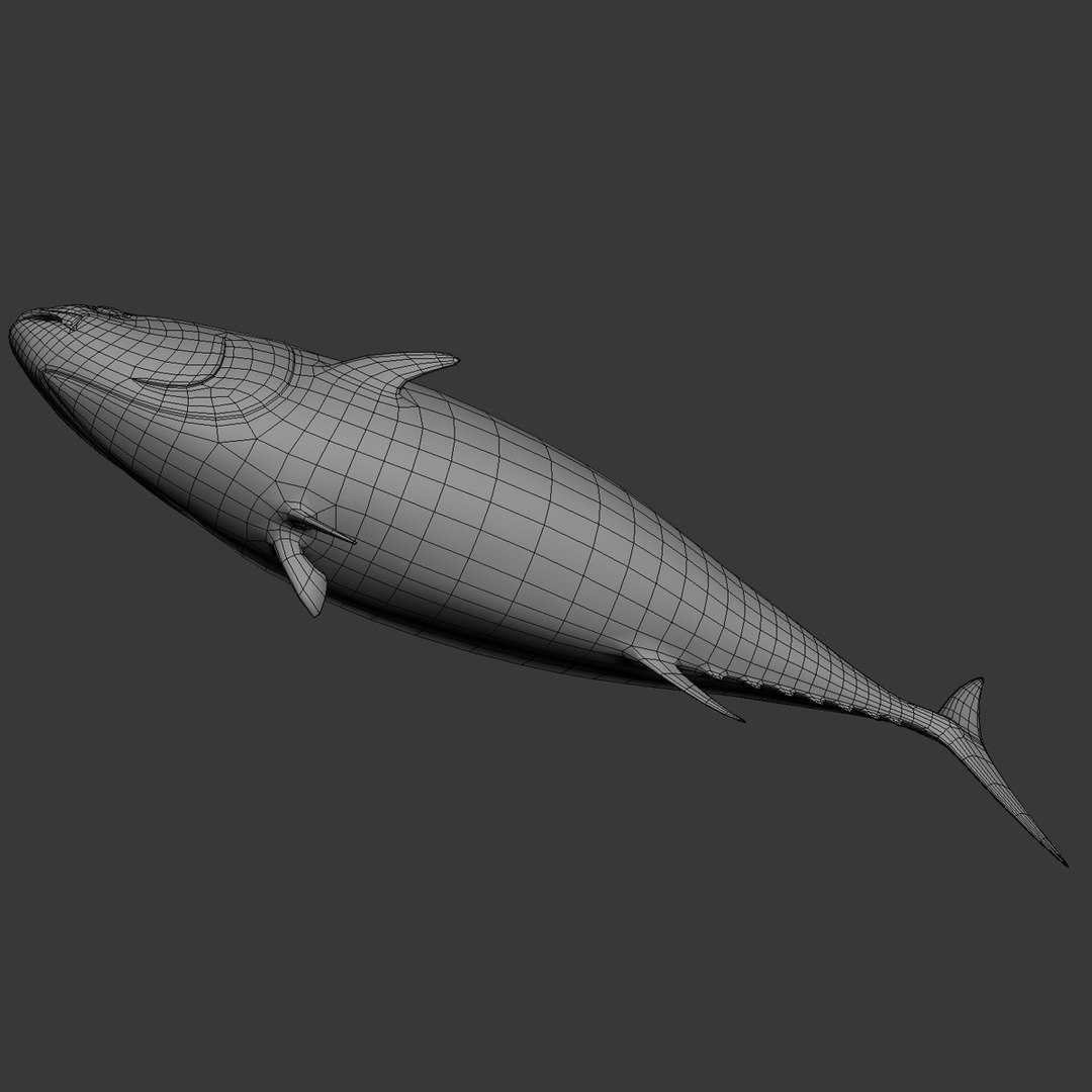 Dugm02 Giant Bluefin Tuna 3d Model