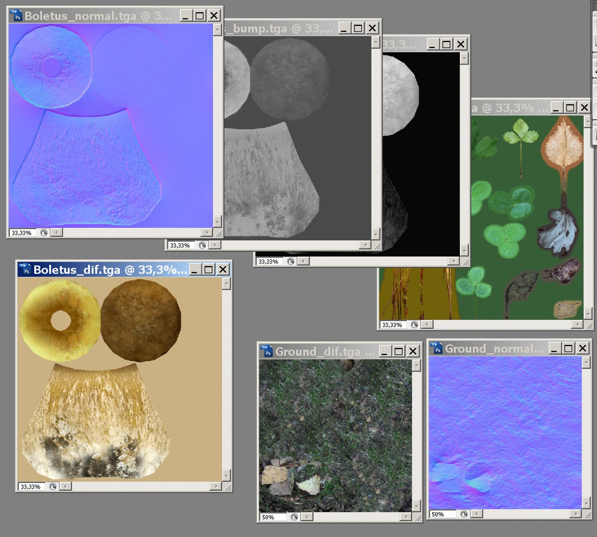 3d Model Boletus Edulis