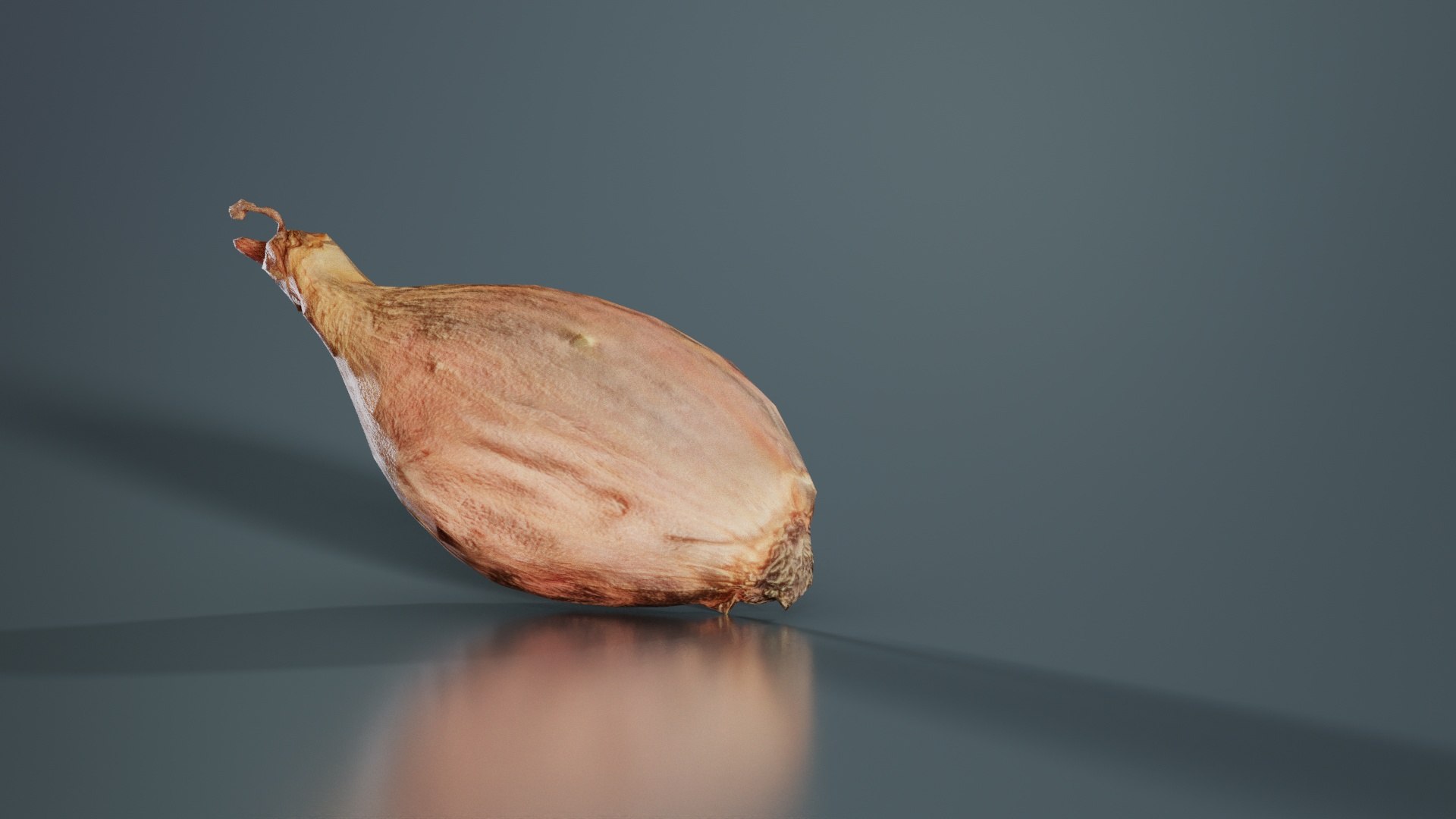 Onion Remastered 3D Model - TurboSquid 2362452
