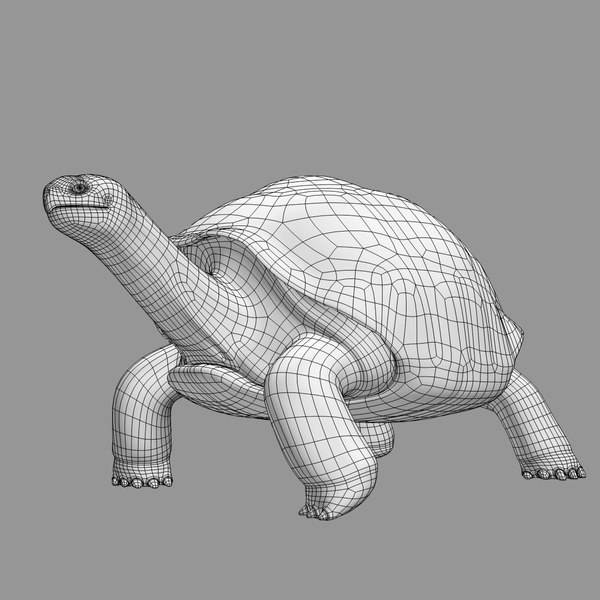 realistic giant tortoise max