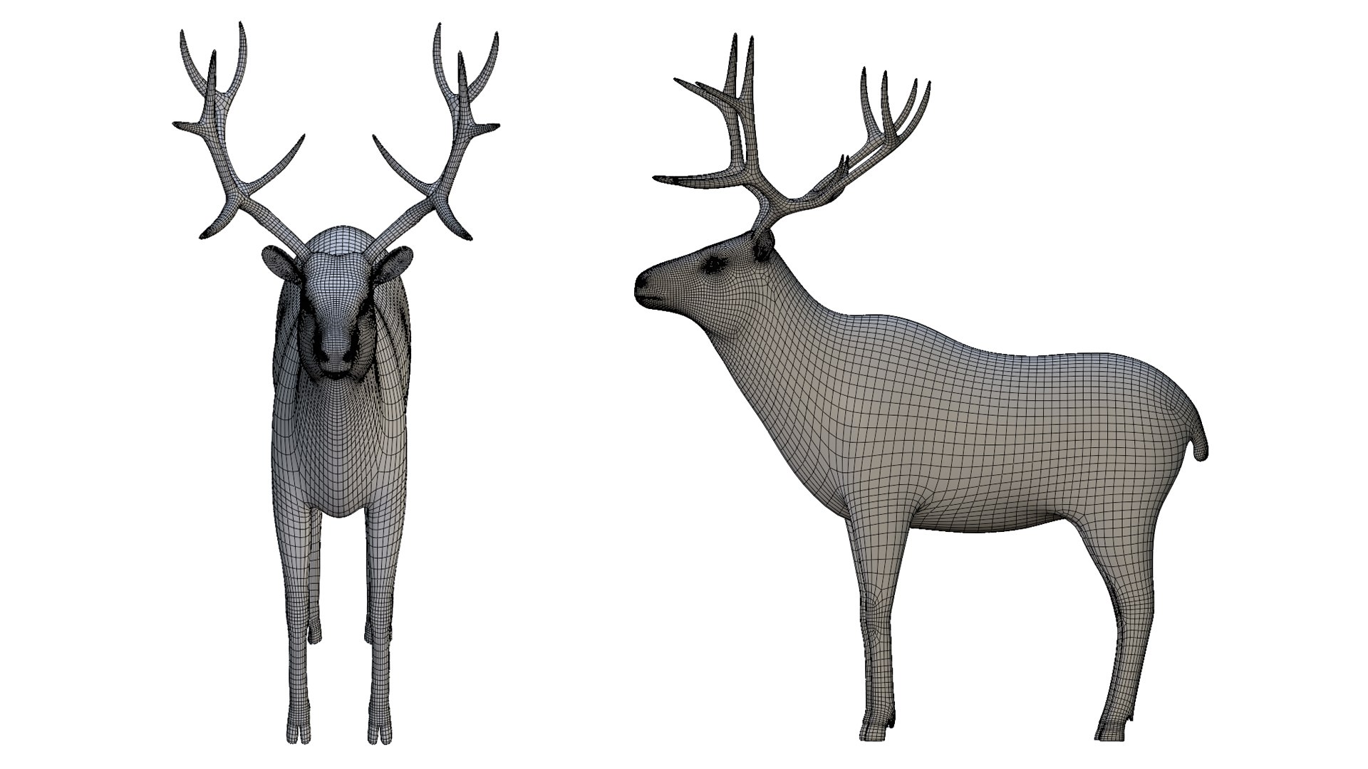 Deer 3D - TurboSquid 2207598