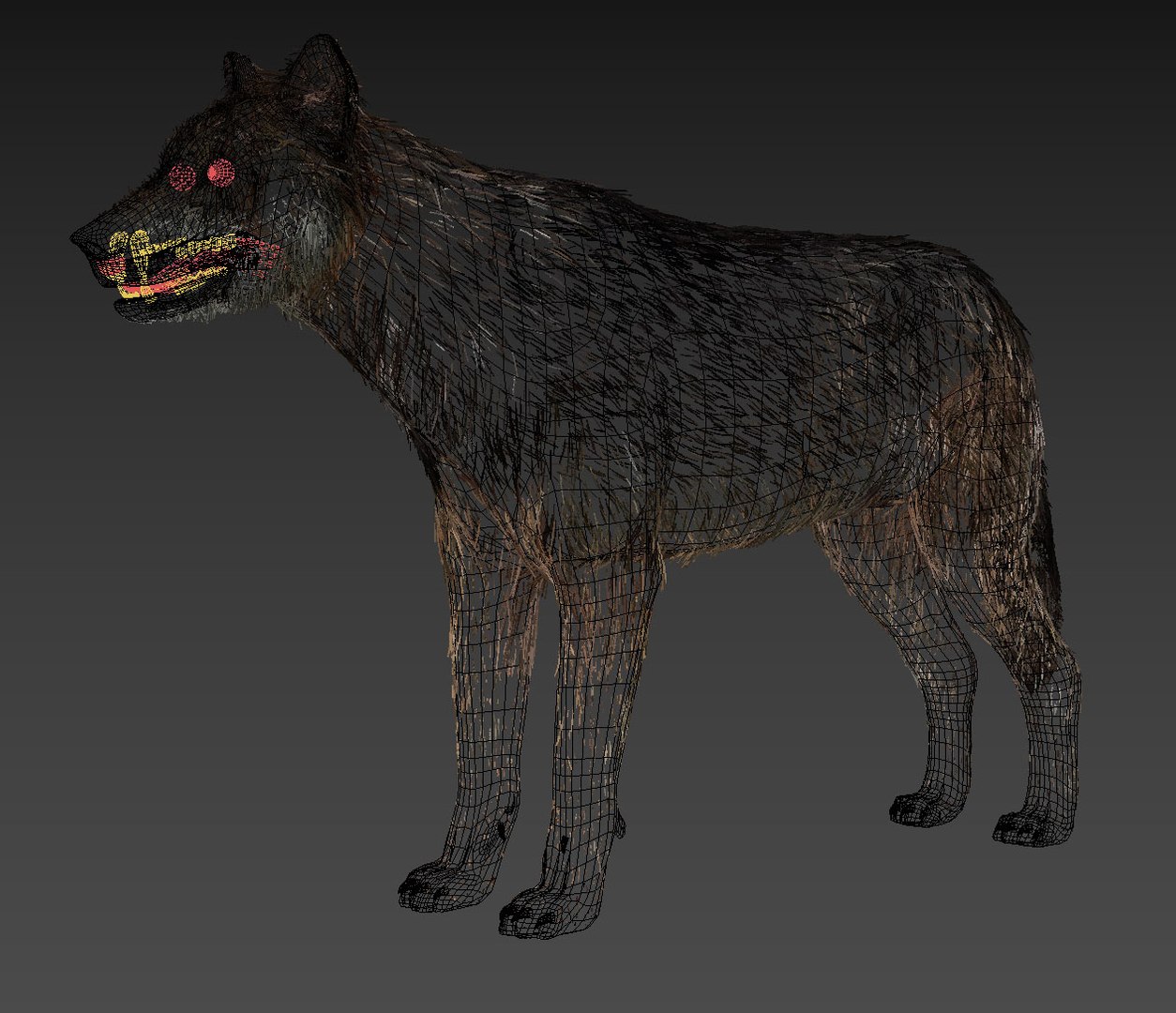 Wolf animation - 3D model - TurboSquid 1419003