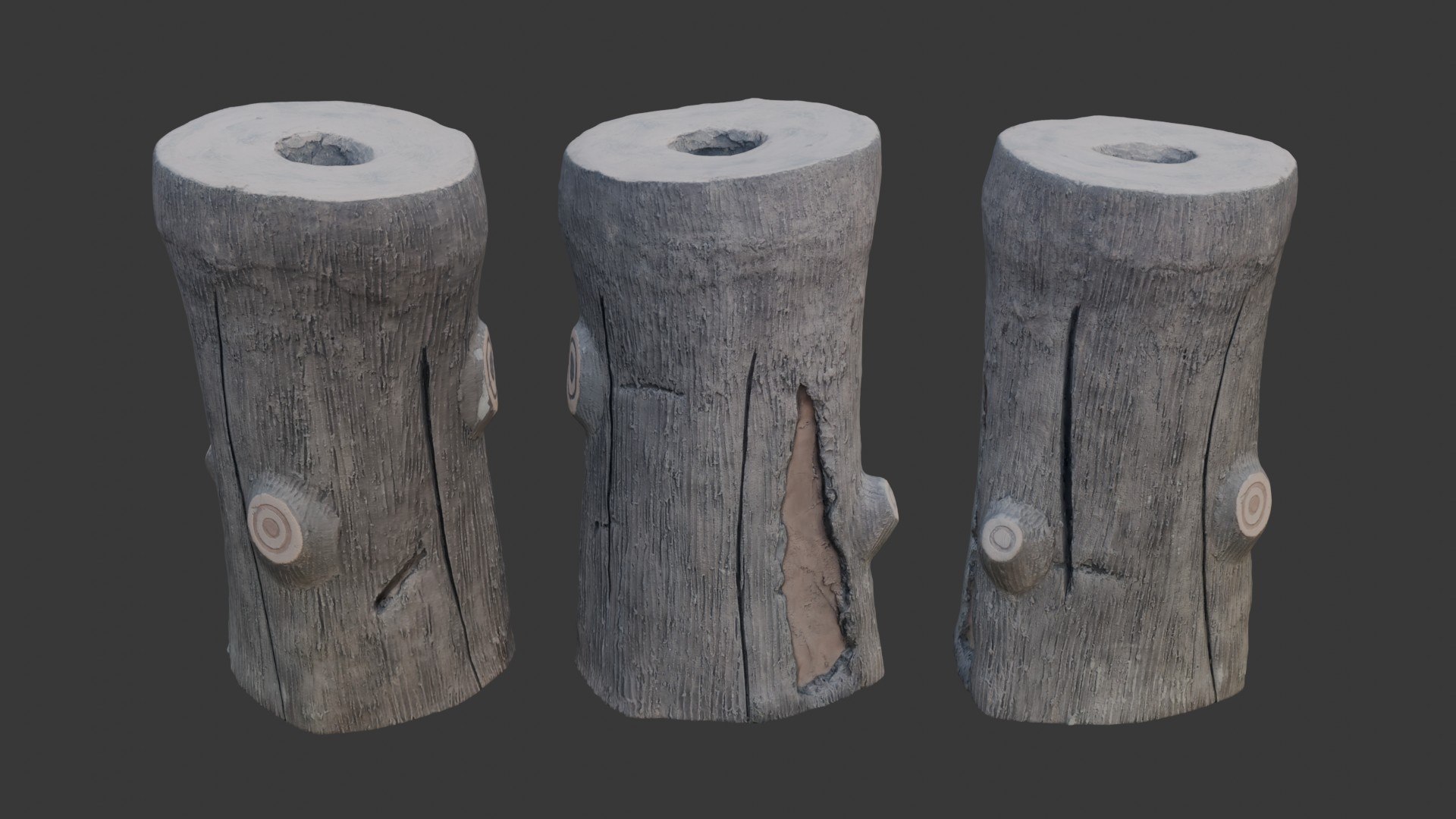 Weathered Tree Stump Scan 3D Model - TurboSquid 2395632