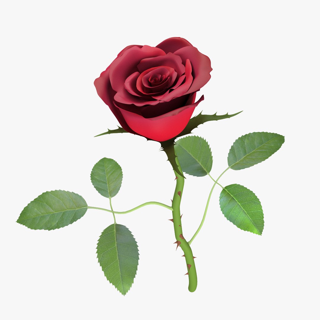 3d Red Rose