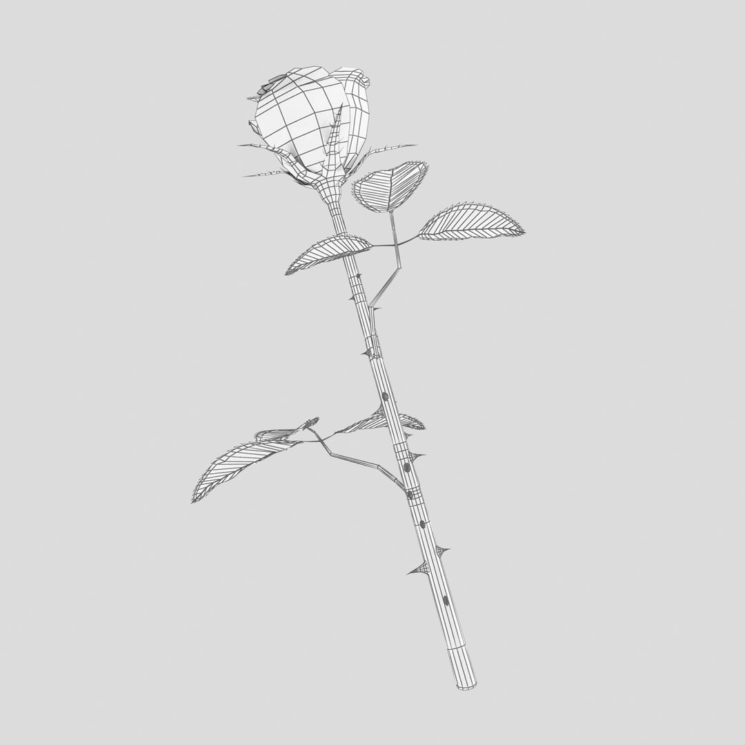 3d Red Rose