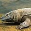 3ds Max Ichthyostega Prehistoric Fish