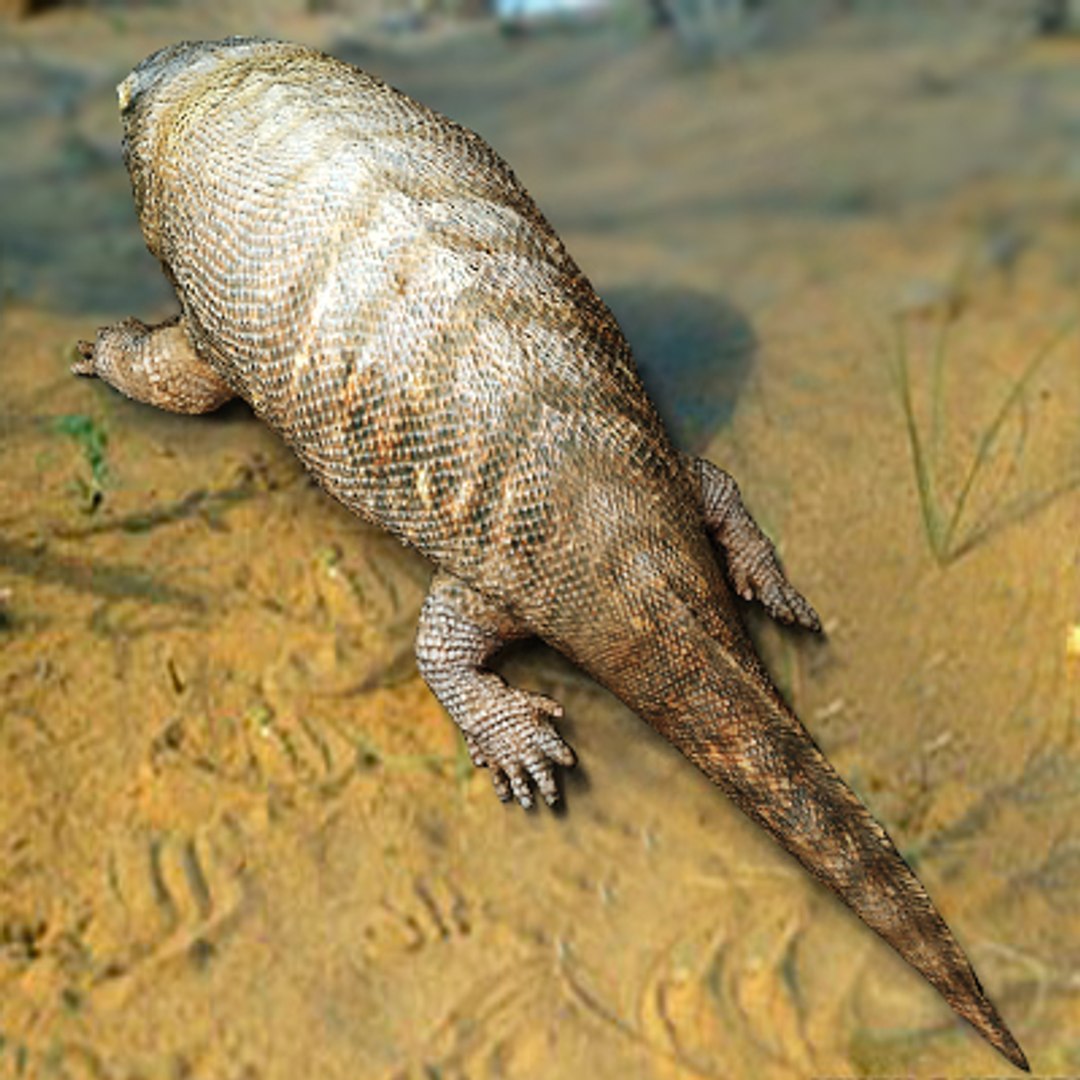 3ds Max Ichthyostega Prehistoric Fish