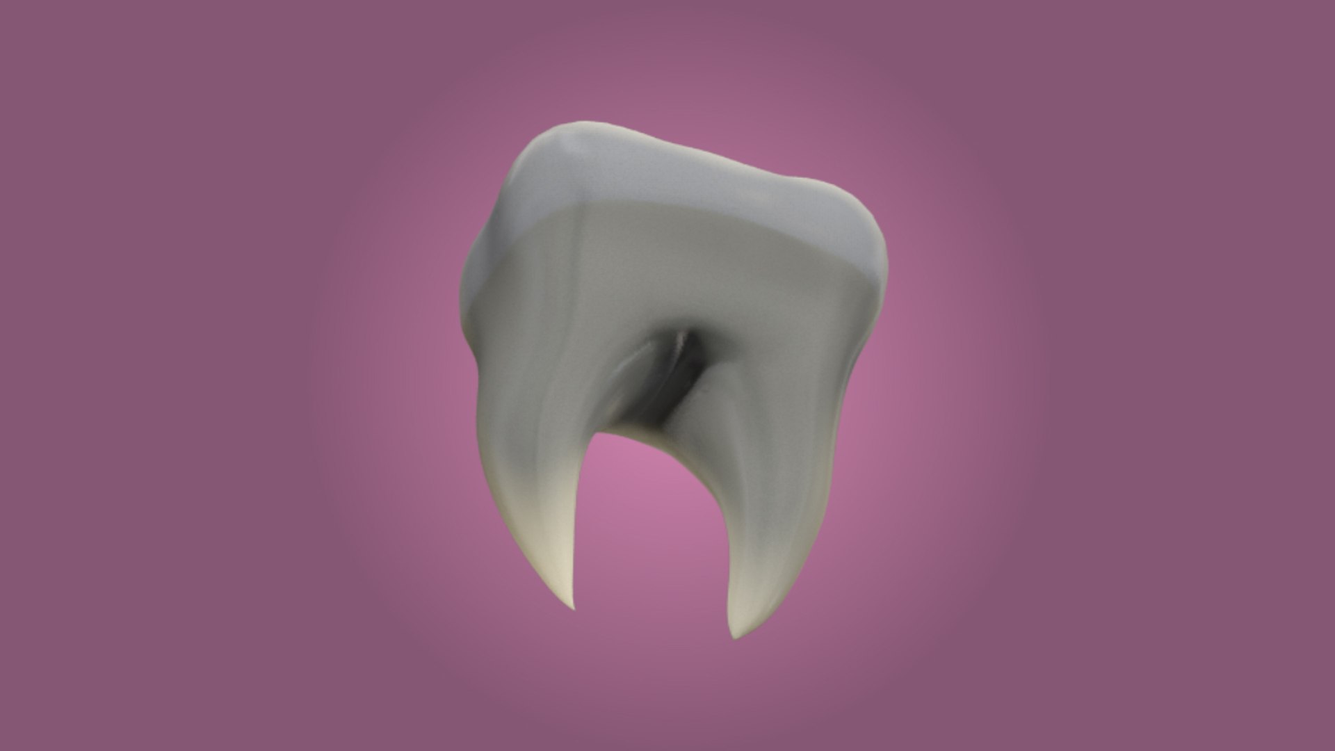 3d Teeth Model
