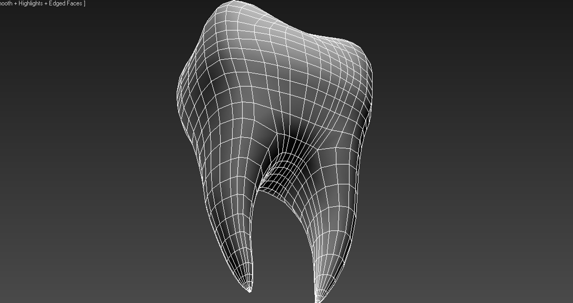 3d Teeth Model