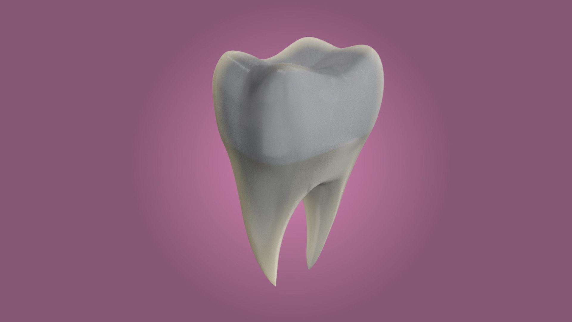 3d Teeth Model