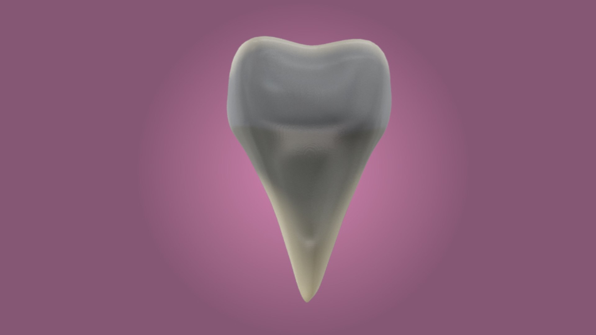 3d Teeth Model