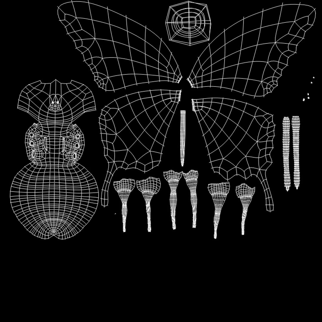 Butterfly 3D Model 3D Model - TurboSquid 1991015