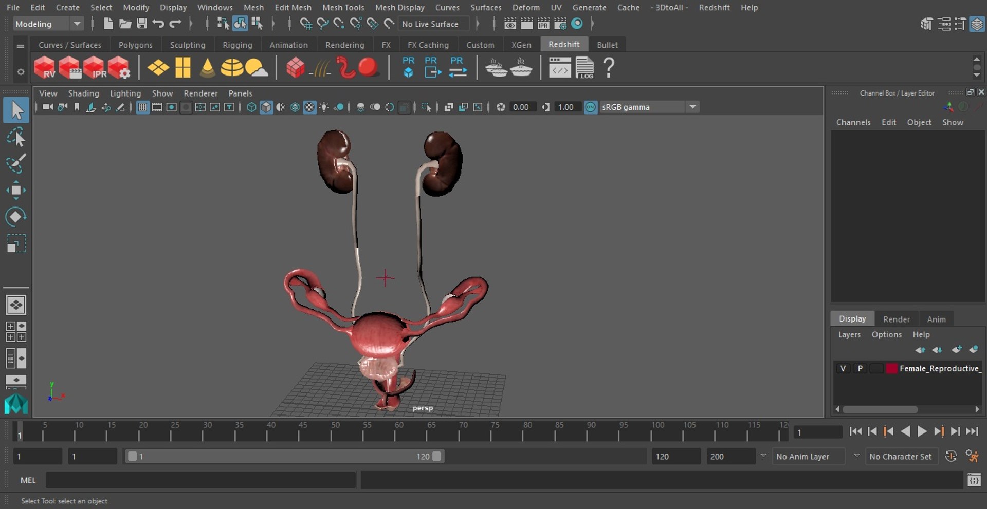 3D model Female Reproductive System - TurboSquid 1839182