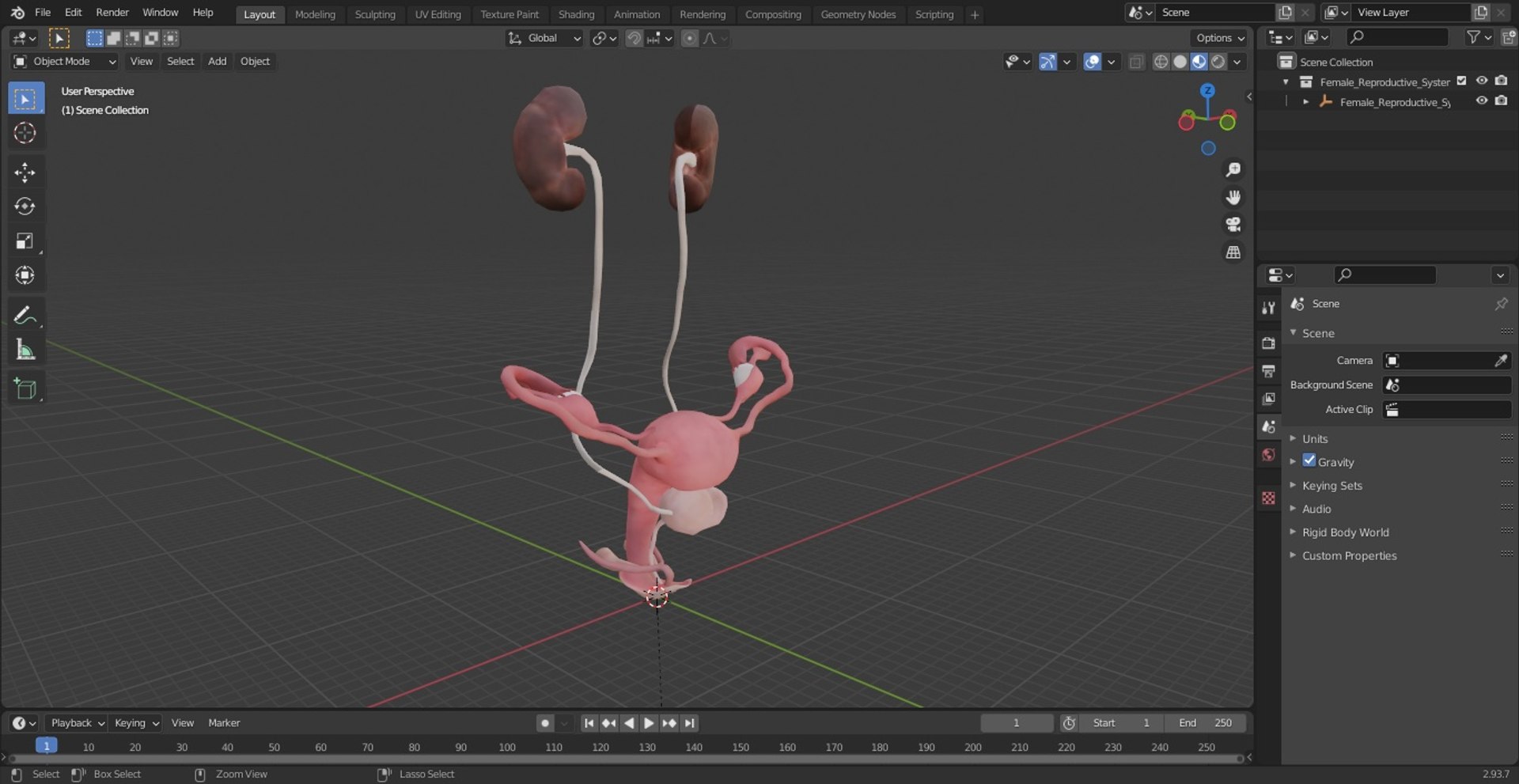 3D model Female Reproductive System - TurboSquid 1839182