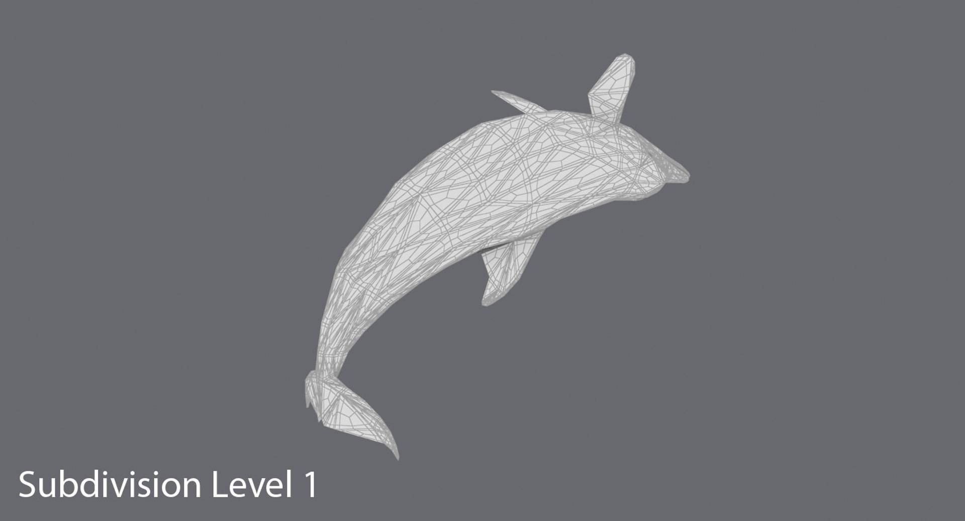 Dolphin---backflip Model - TurboSquid 1237910