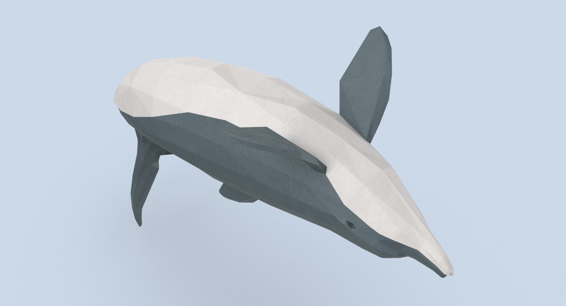 Dolphin---backflip Model - TurboSquid 1237910