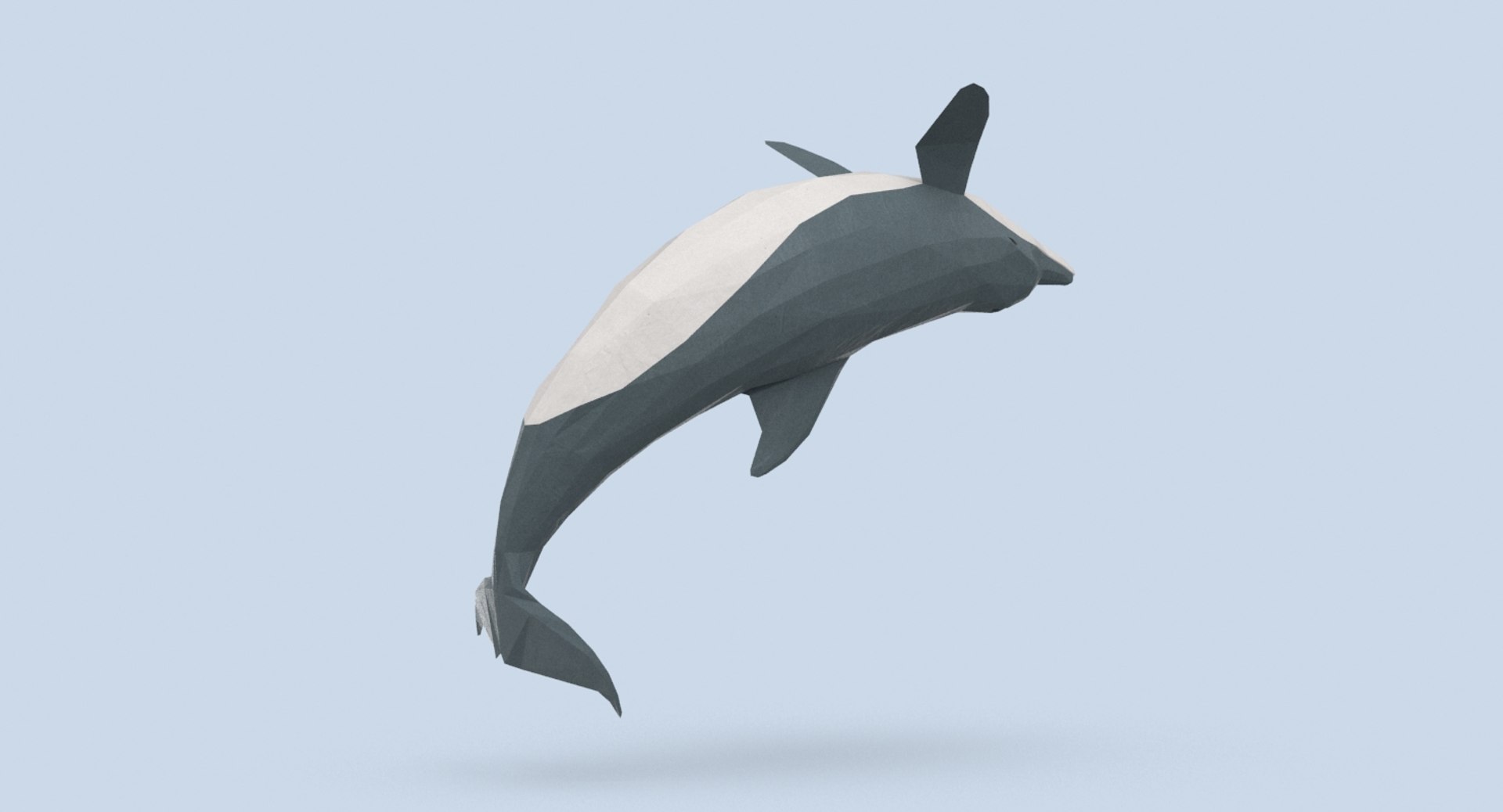Dolphin---backflip Model - TurboSquid 1237910