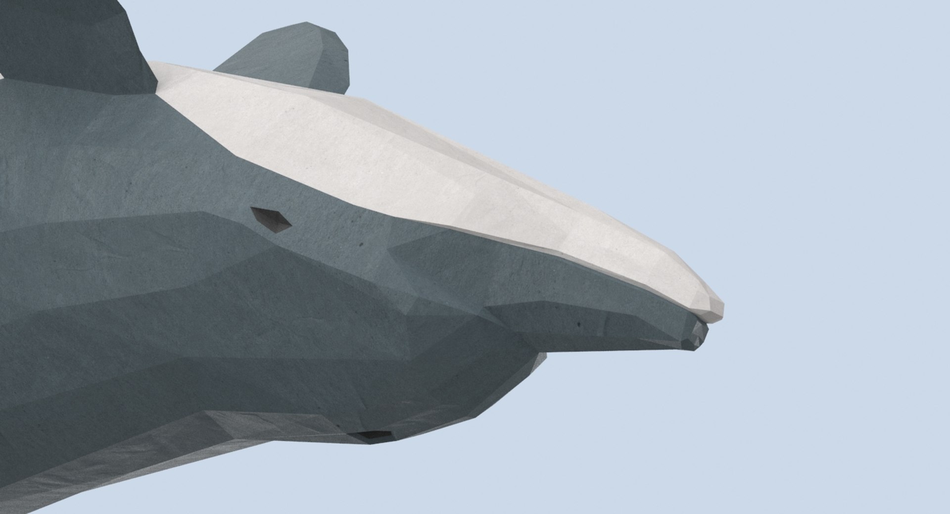 Dolphin---backflip Model - TurboSquid 1237910