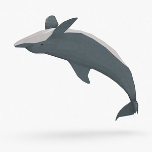 Dolphin USD Models for Download | TurboSquid