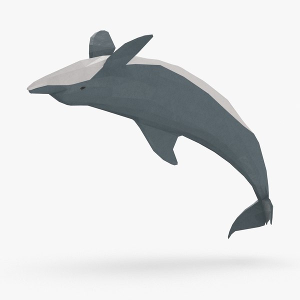 Dolphin USD Models for Download | TurboSquid