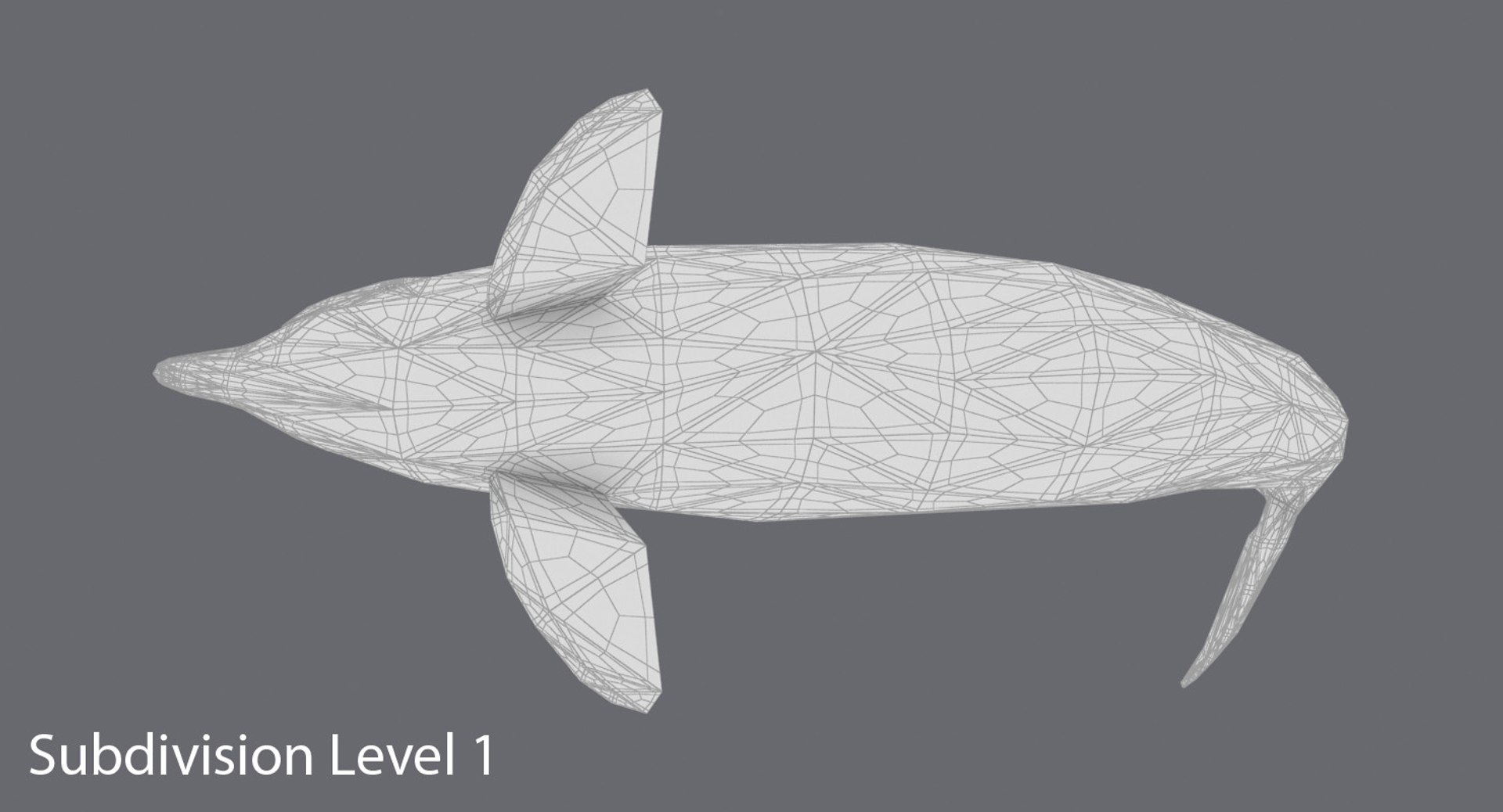 Dolphin---backflip Model - TurboSquid 1237910