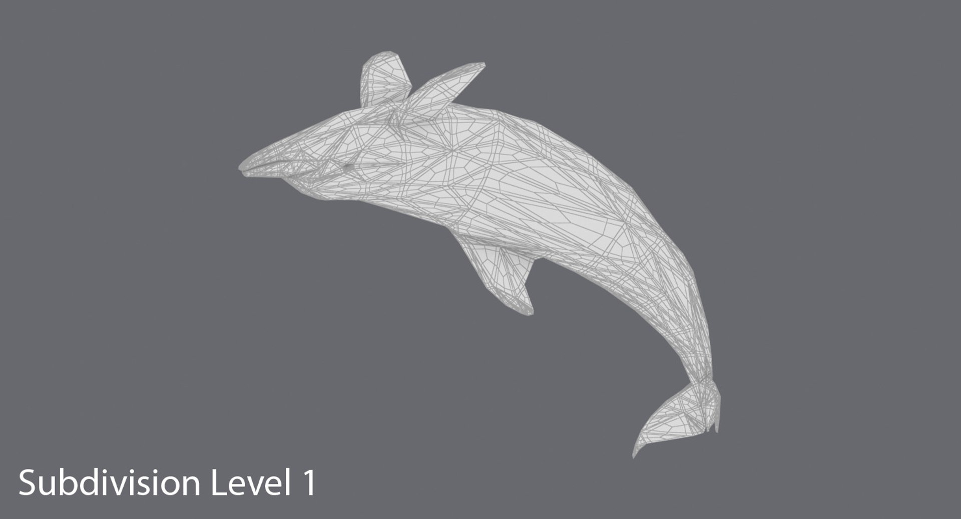 Dolphin---backflip Model - TurboSquid 1237910