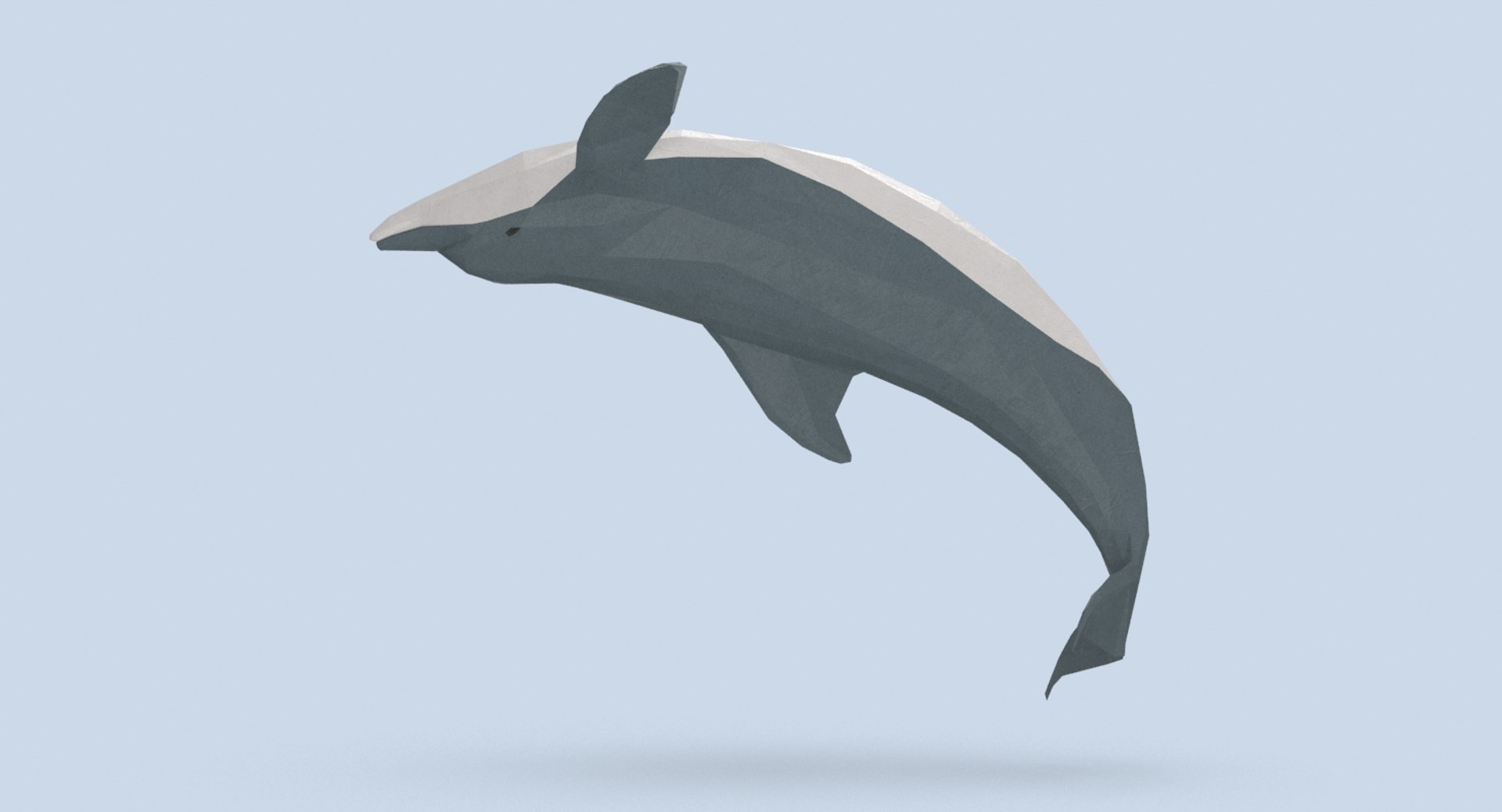 Dolphin---backflip Model - TurboSquid 1237910