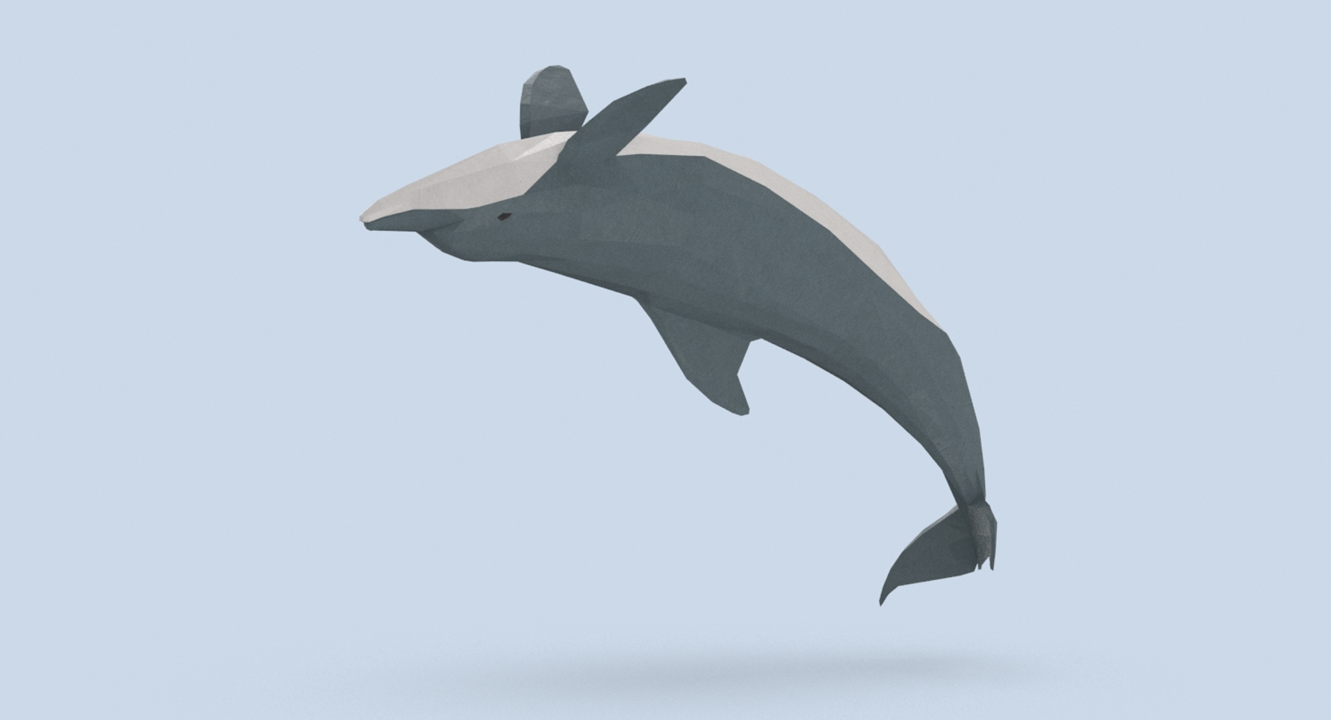 Dolphin---backflip Model - TurboSquid 1237910