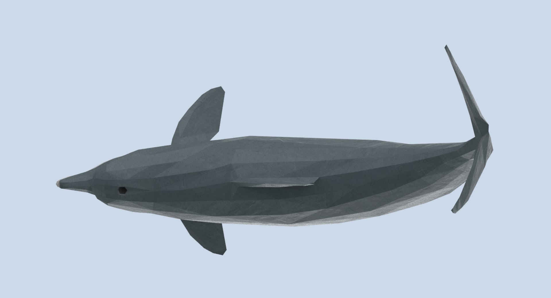 Dolphin---backflip Model - TurboSquid 1237910