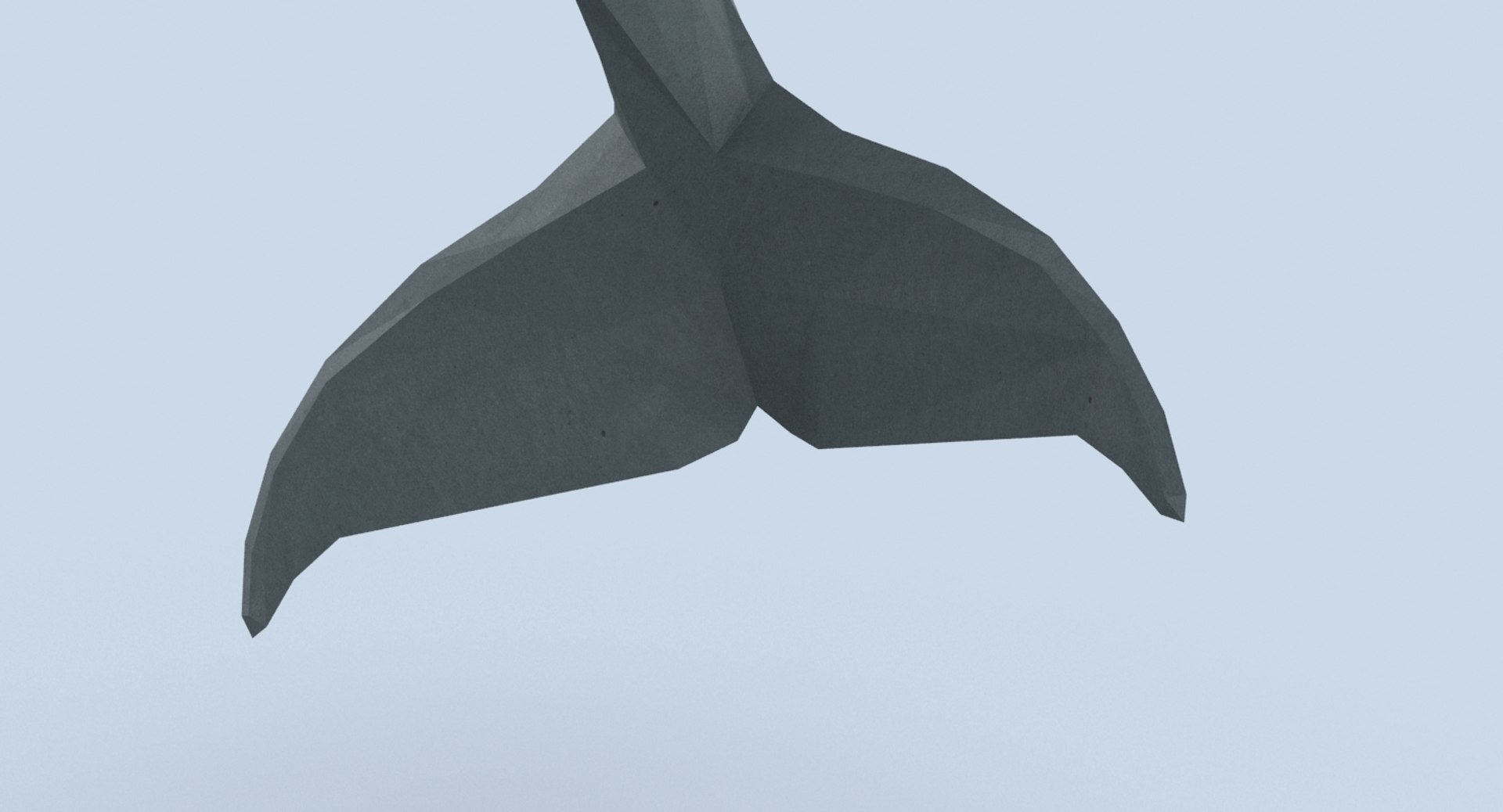 Dolphin---backflip Model - TurboSquid 1237910