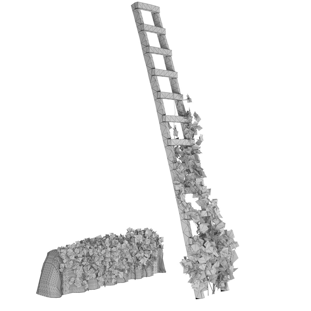 High-Quality 3D Model Of Vine Climber Plant On Ladder And Rock 3D Model ...