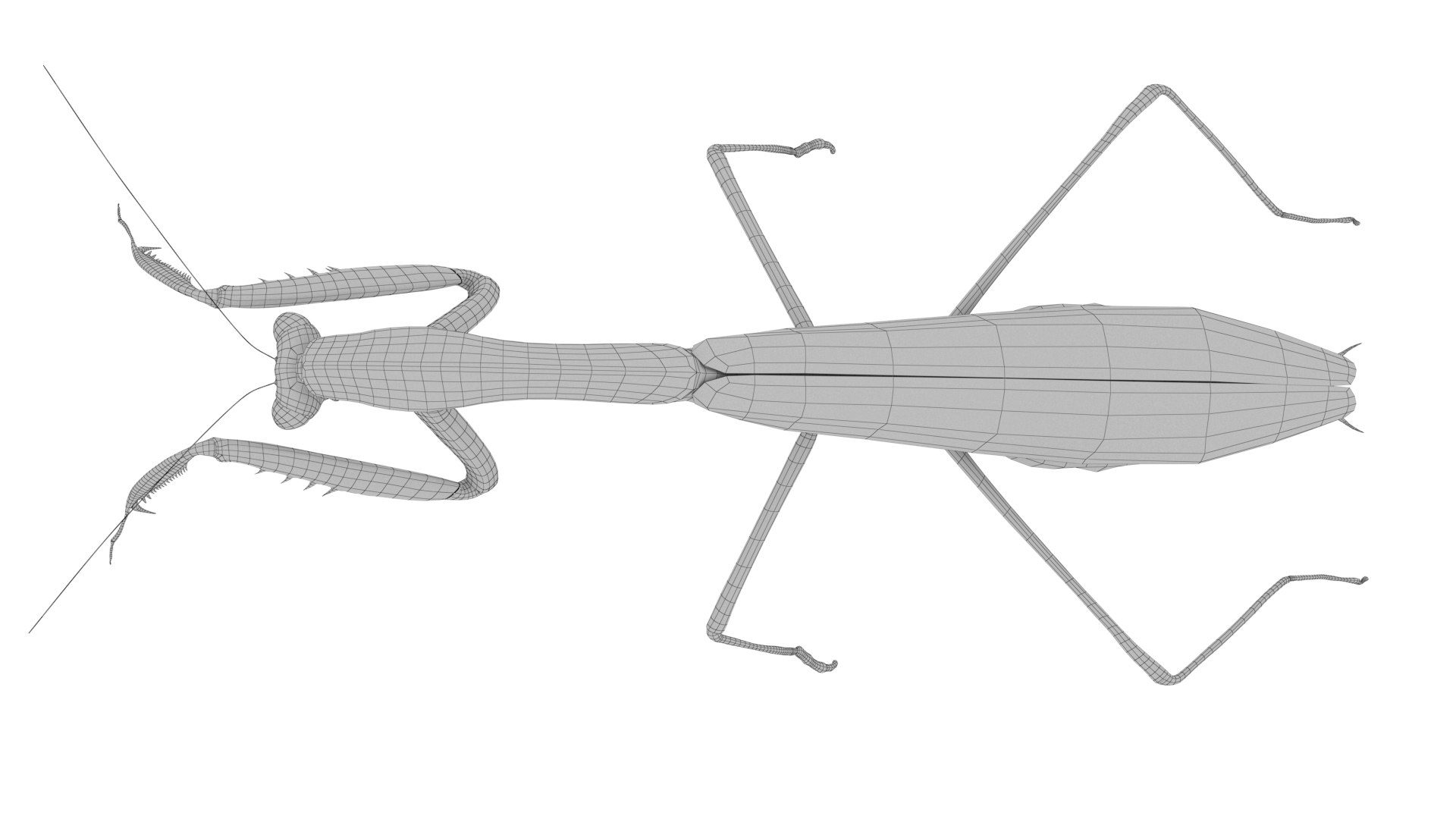 3D Model Mantis - TurboSquid 2001127