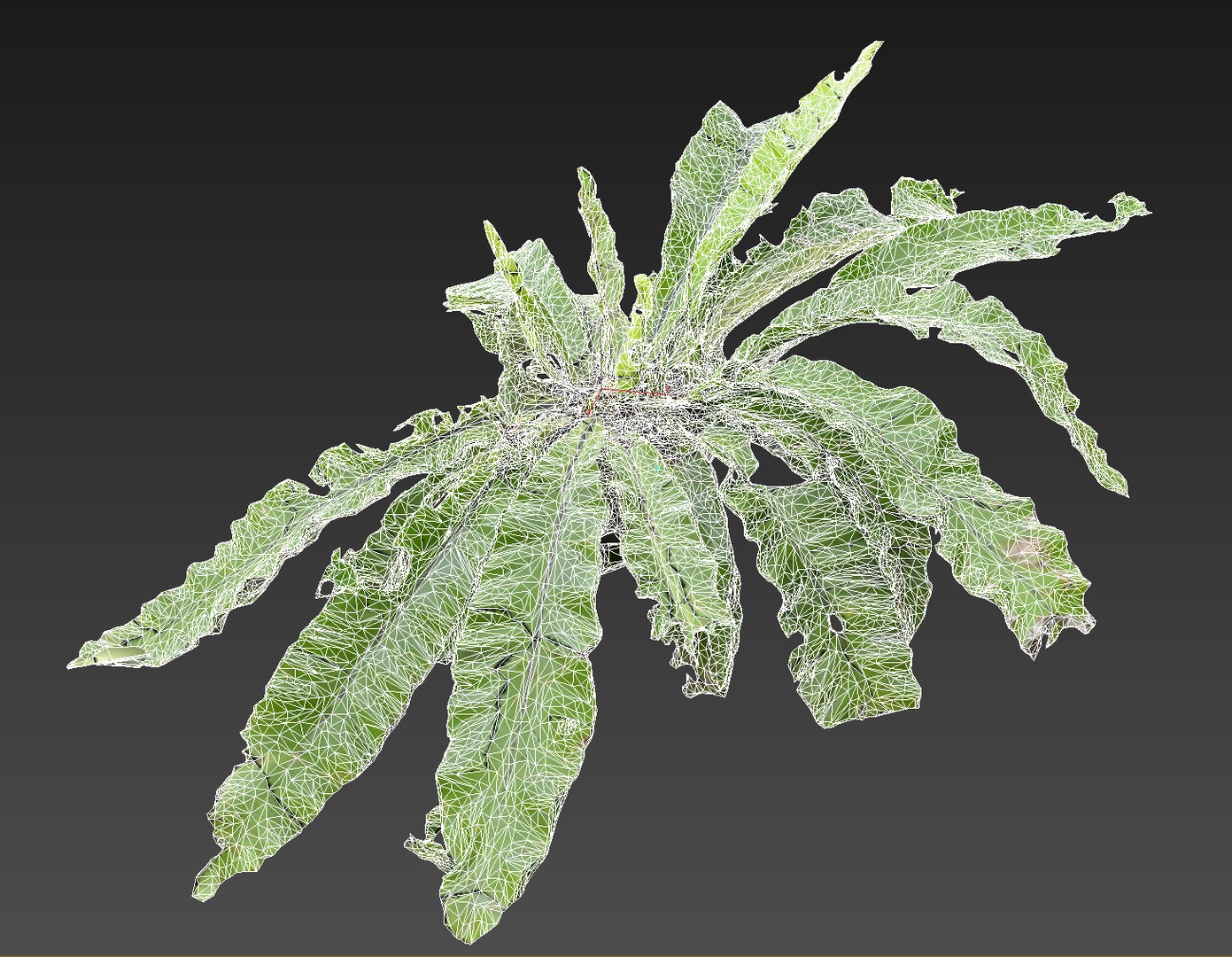 Tropical Plants Scan 8k 3D - TurboSquid 1471935