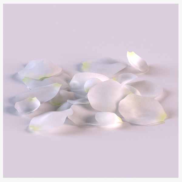 3D Petals Models | TurboSquid