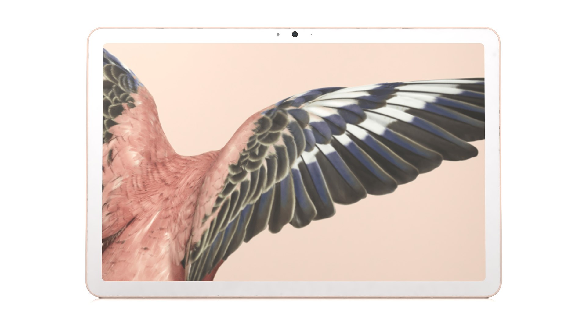 Google Pixel Tablet Rose 3D Model - TurboSquid 2073362