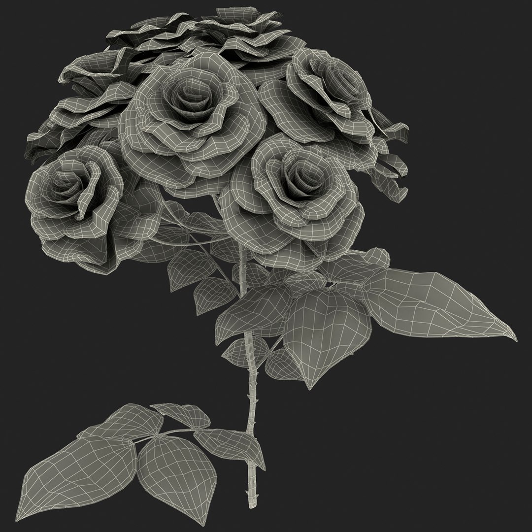 Max Rose Bush