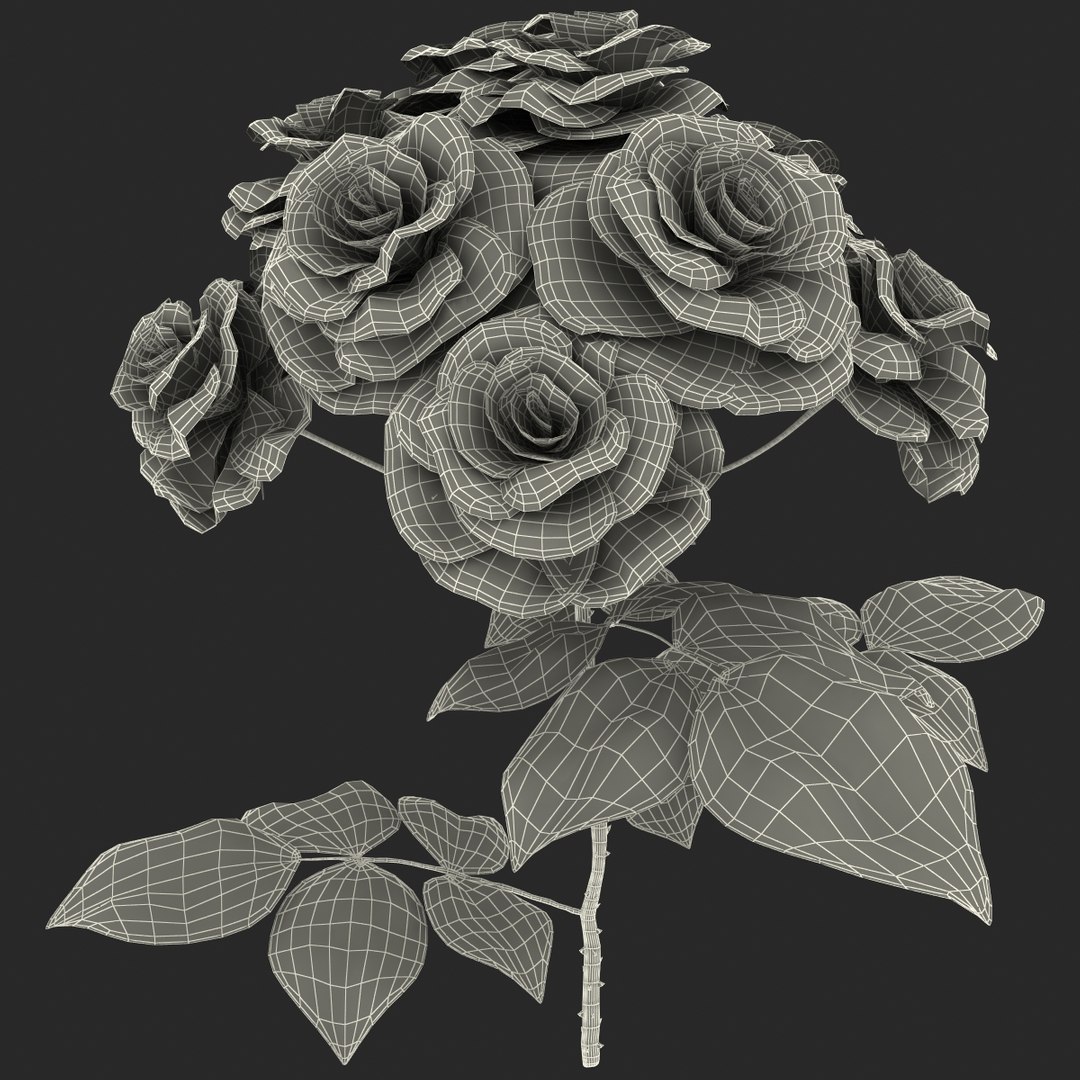 Max Rose Bush