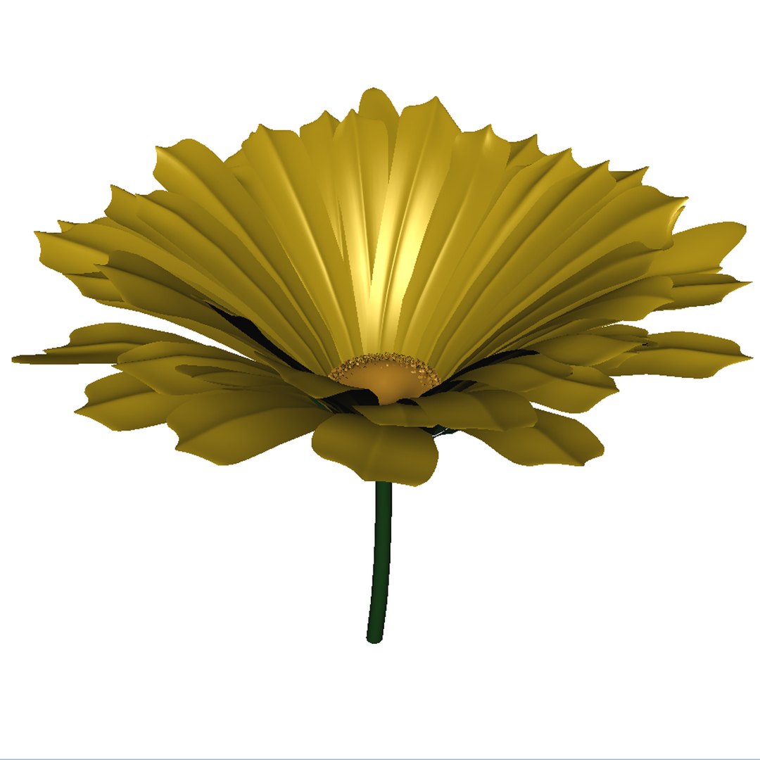 3d model daisy flower