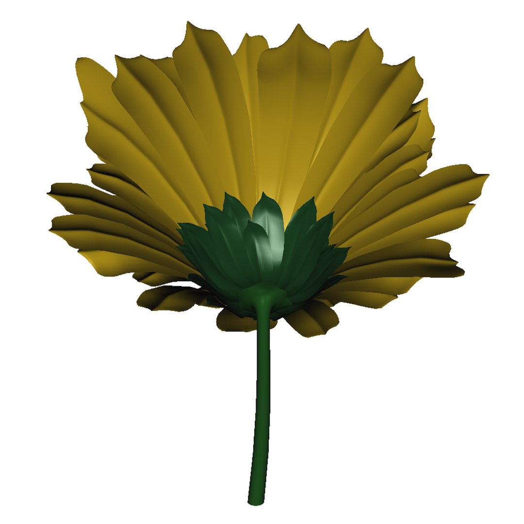 3d model daisy flower